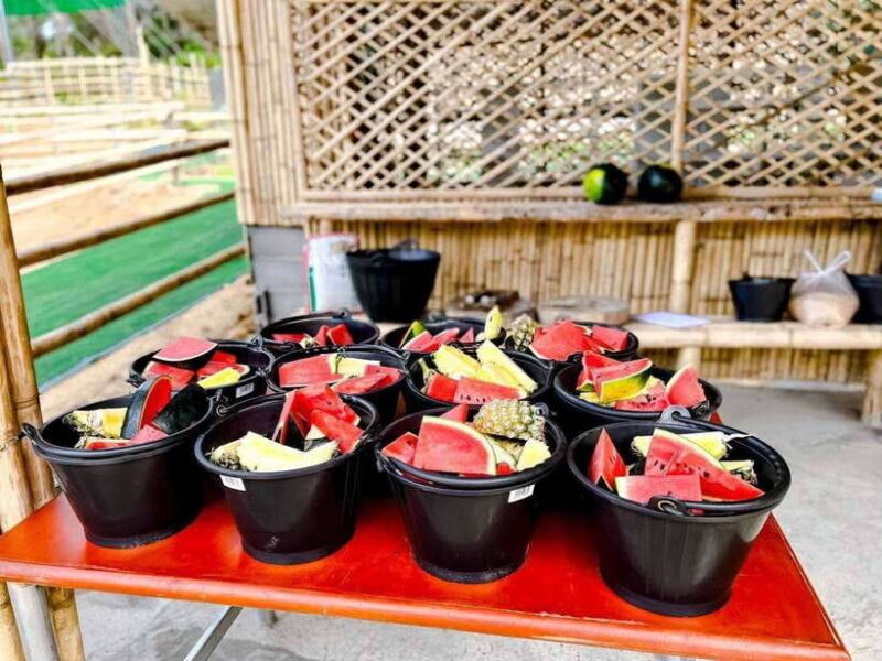 Phuket: Feeding Elephants at Phuket Elephant Care - FAQ