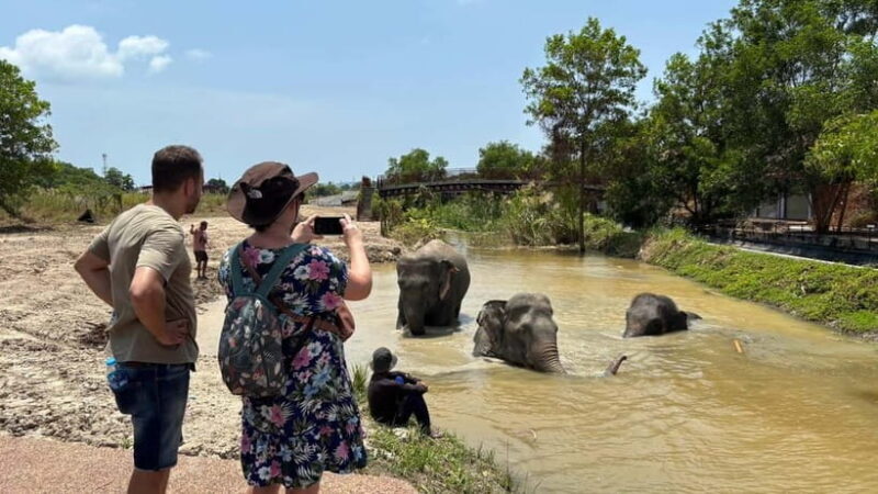 Phuket: Freedom Elephant Reserve - Ethereal Nature Walk - FAQ