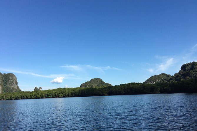 Phuket Full Day City tour & Lunch & Tiger Park - Who Will Love This Tour?