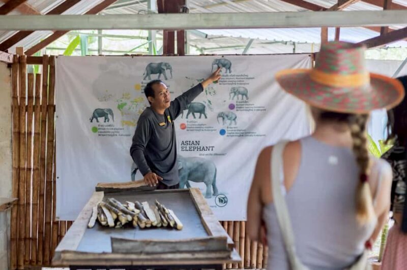 Phuket: Full-Day Ethical Elephant Sanctuary Tour with Lunch - An Honest Look at the Full-Day Elephant Sanctuary Tour