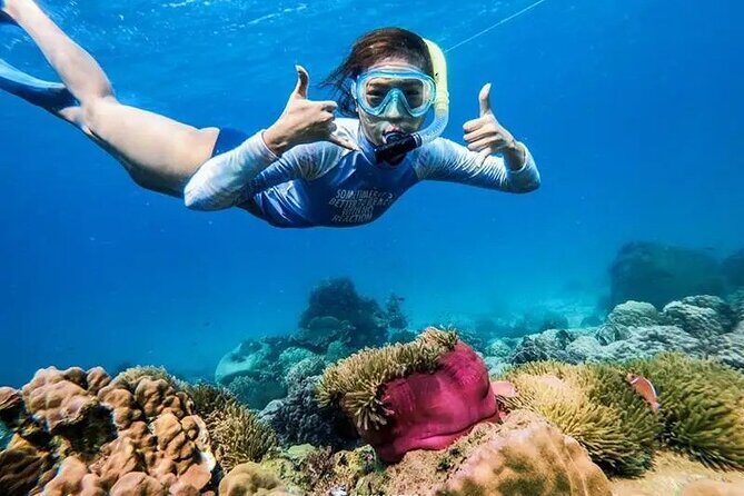 Phuket Fullday Fabulous Snorkeling Spot of Surin Fisherman Village by Speed Boat - An In-Depth Look at the Surin Islands Snorkeling Tour