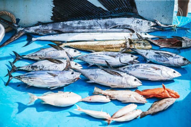 Phuket: Game Fishing and Trolling Boat Trip with Lunch - FAQs