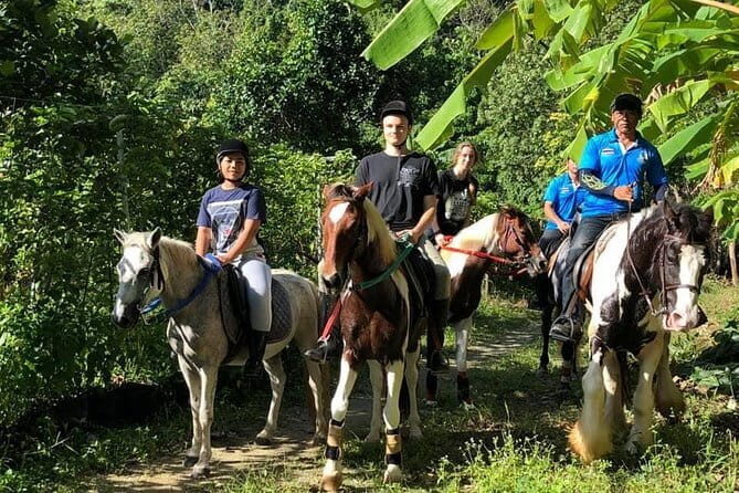 Phuket Golden Sunset Horseback Ride with Palai Beach Views - How About the Price and Value?