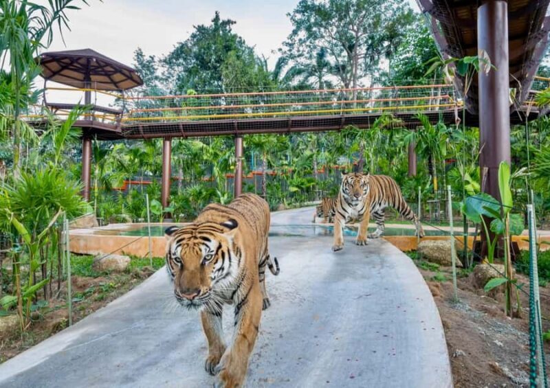 Phuket: Guided Tour ATV Ride & Elephant Feeding & City Trip - Frequently Asked Questions
