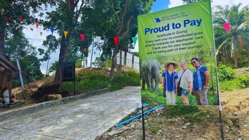 Phuket: Guided Tour to Elephant Sanctuary with Transfer - Who Should Consider This Tour?