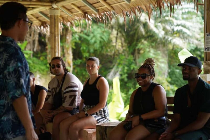 Phuket : Guided Tour to Elephant Sanctuary with Transfers - Key Points