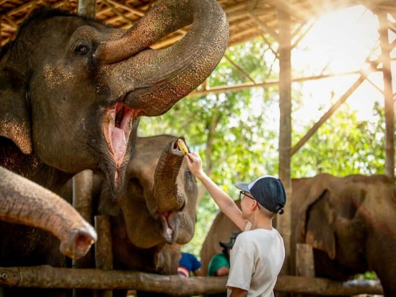 Phuket: Guided Tour with ATV Ride and Elephant Sanctuary - Key Points