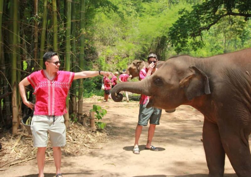 Phuket: Guided Tour with ATV Ride and Elephant Sanctuary - FAQ