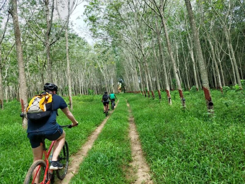 Phuket: Half-Day Countryside Cycling Tour with Lunch - Key Points