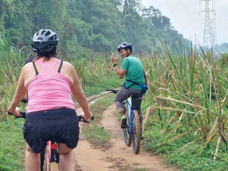 Phuket: Half-Day Countryside Cycling Tour with Lunch - A Close Look at the Phuket Countryside Cycling Tour