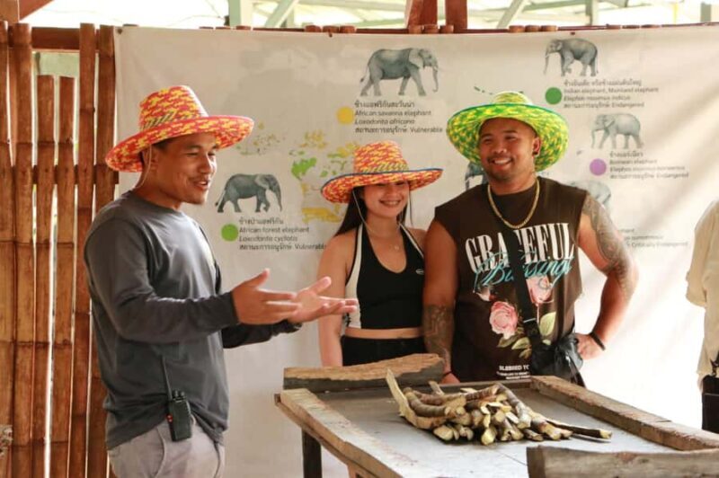 Phuket: Half-Day Ethical Elephant Sanctuary Tour with Lunch - Final Thoughts