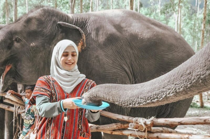 Phuket: Half Day or 2-Hour Ethical Elephant Care Sanctuary - The Sum Up: Is This the Elephant Experience for You?