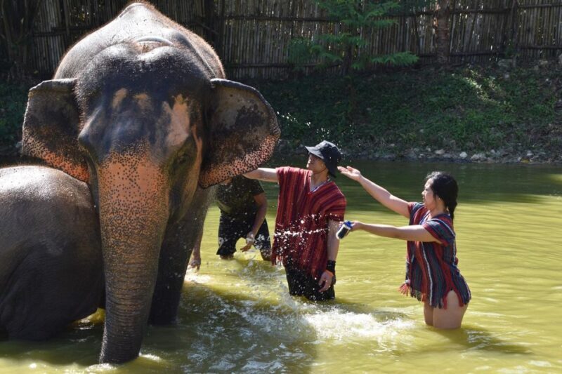 Phuket: Half Day or 2-Hour Ethical Elephant Care Sanctuary - FAQ
