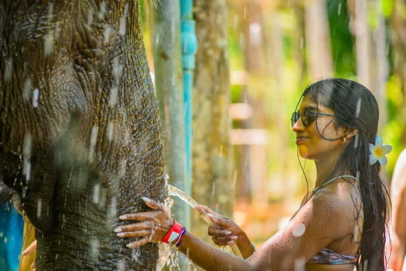 Phuket: Happy Hour Feed and Rain Shower with Elephant - Detailed Breakdown of the Experience