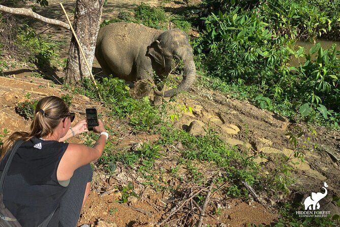 Phuket: Hidden Forest Elephant Reserve Guided Tour with Lunch - Who Should Book This Experience?