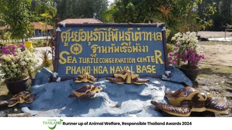 Phuket: Highlights Sea Turtle Center, Rafting ,Temple Tour - Key Points