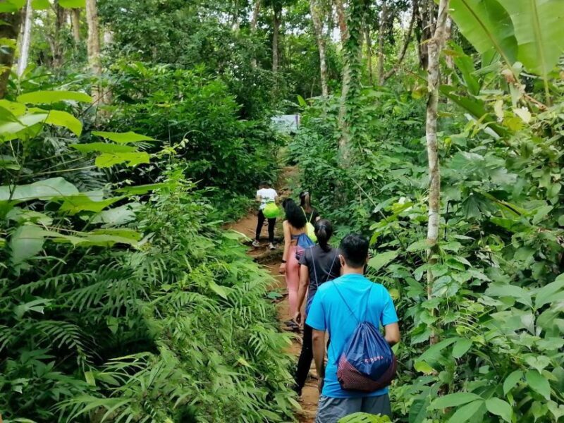 Phuket: Hiking to Sunrise - Practical Tips for the Hike