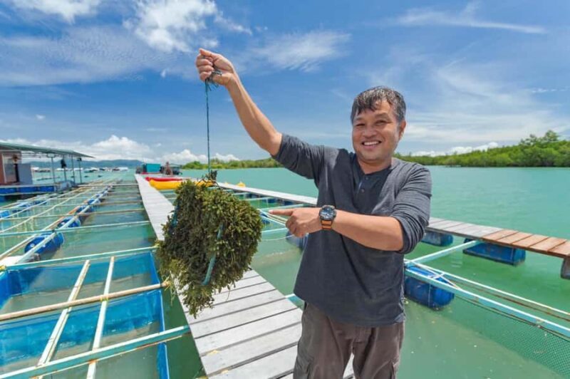 Phuket: Intara Farm & Pearl Factory Half-Day Tour with Lunch - Key Points