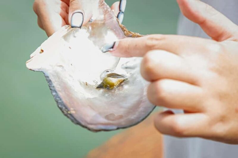 Phuket: Intara Farm & Pearl Factory Half-Day Tour with Lunch - What to Expect on the Tour