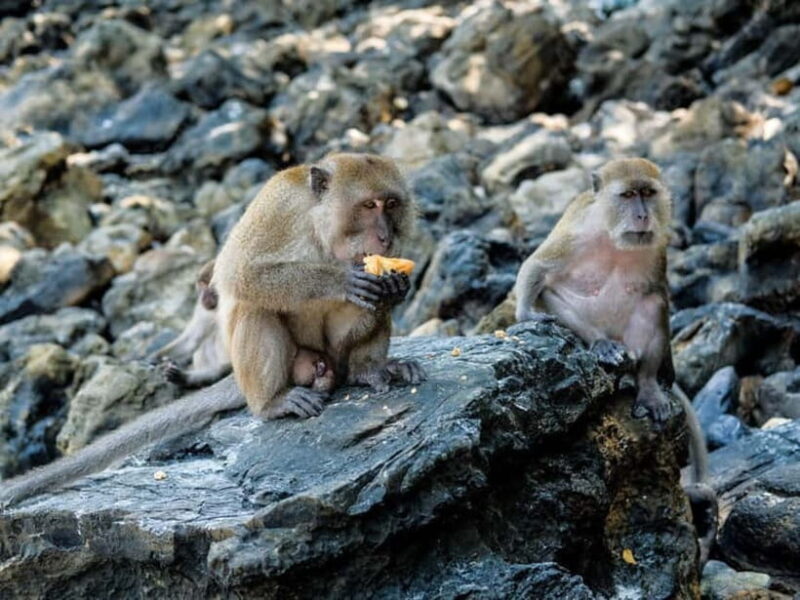 Phuket: James Bond Island Sea Canoe with lunch by Big Boat - Key Points