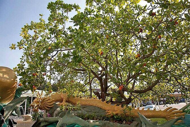 PHUKET: Join Full Day Phuket Old Town City Tour - View Point - Who Is This Tour Best Suited For?