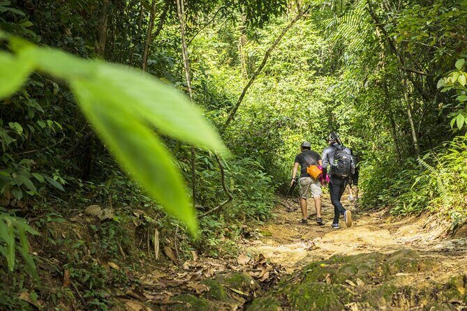 Phuket Jungle Trekking Experience at Khao Phra Taew National Park - The Itinerary Breakdown: A Day in the Jungle