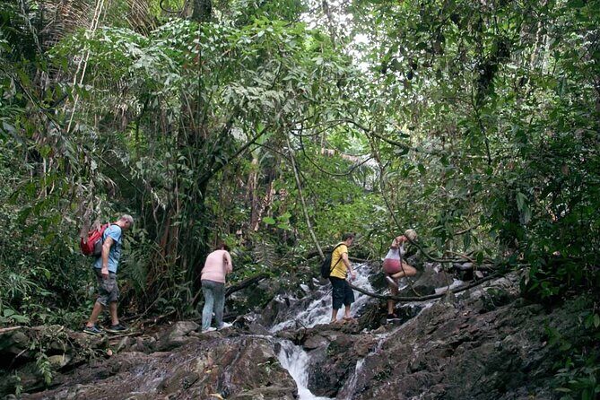 Phuket Jungle Trekking Experience at Khao Phra Taew National Park - Who Is This Tour Best For?