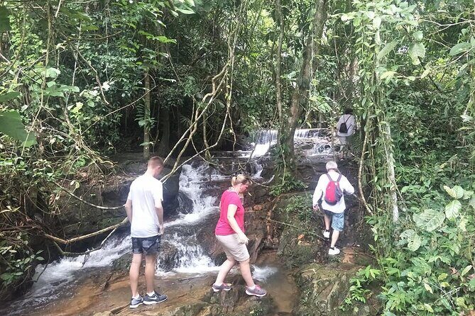 Phuket Jungle Trekking Experience at Khao Phra Taew National Park - FAQ