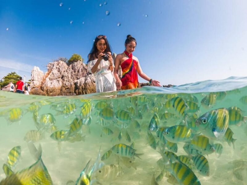 Phuket: Khai Islands Premium Speedboat Half Day Adventure - Khai Nai Island: Second Stop