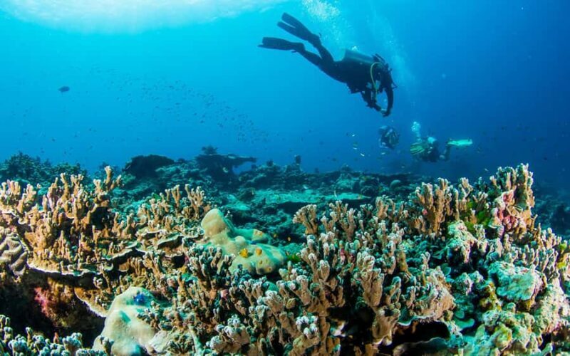 Phuket/Khao Lak: Similan Island Adventure Tour - Introduction to the Similan Islands Adventure