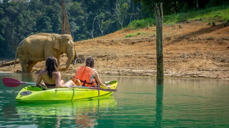 Phuket: Khao Sok National Park and Cheow Lan Lake Tour - Practicalities and Value