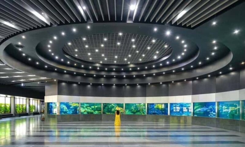 Phuket: Last Day Private Trip to Temple & Jewelry Tour - Key Points