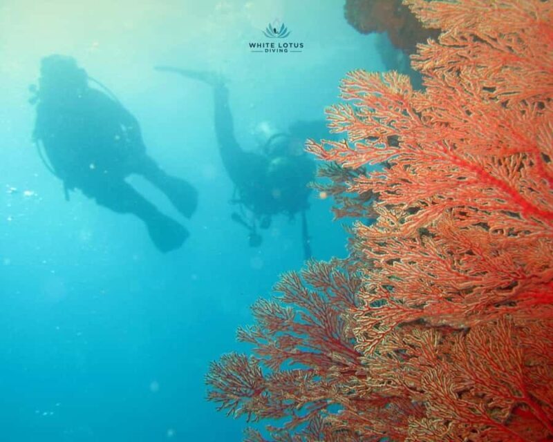 Phuket LGBTQ+ Friendly Scuba & Snorkeling Day Trip - An In-Depth Look at the Phuket LGBTQ+ Friendly Scuba & Snorkeling Day Trip