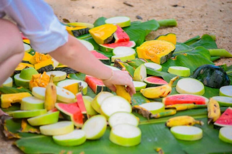 Phuket: Lily Elephant Conservation - Jungle to Sea Discovery - Key Points