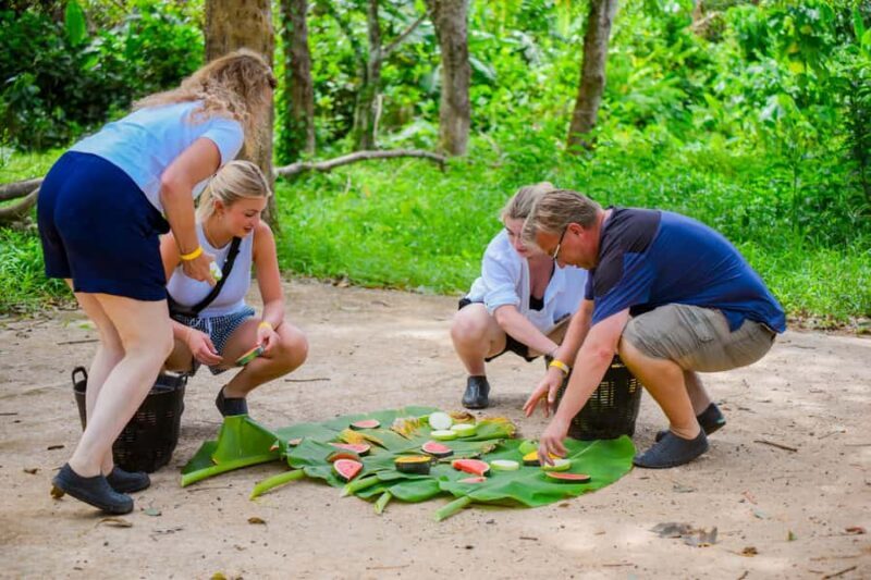 Phuket: Lily Elephant Conservation - Jungle to Sea Discovery - Who Will Love This Tour?