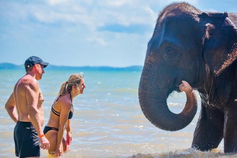 Phuket: Lily Elephant Conservation - Jungle to Sea Discovery - FAQ