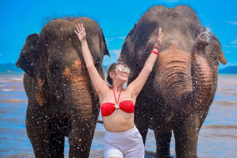 Phuket: Lily Elephant Half day Trip on the Beach with lunch - Final Thoughts