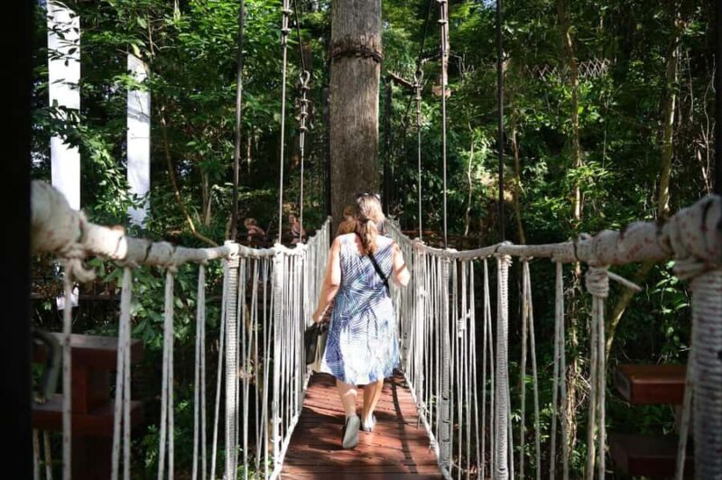 Phuket: Luge, Zipline, Skywalk & Adventure Combo Experience - What the Tour Offers and Why It Matters