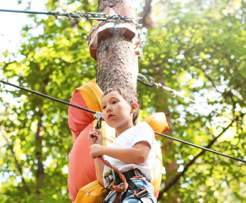 Phuket: Luge, Zipline, Skywalk & Adventure Combo Experience - Value and Pricing