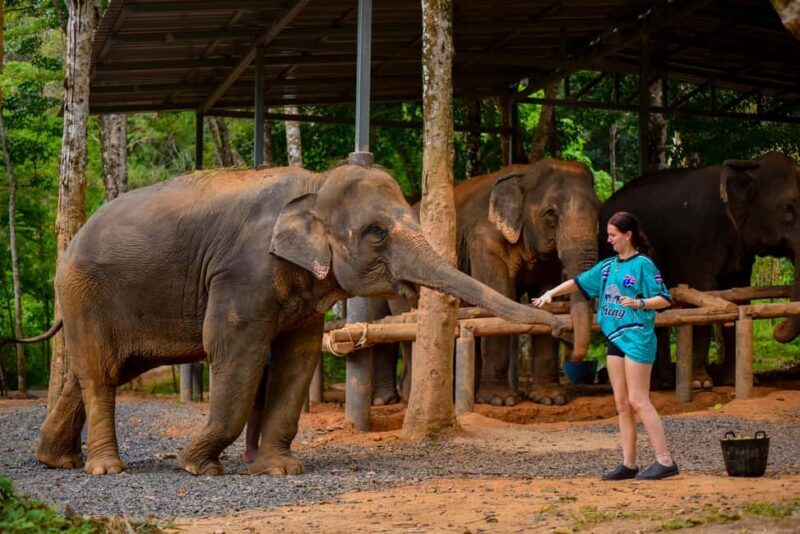 Phuket: Make & Meet The Gentle Giant Experience - FAQ