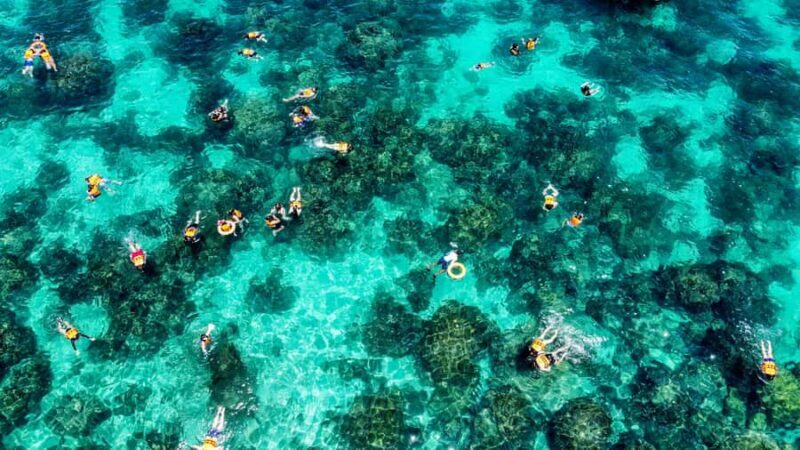 Phuket: Maya, Phi Phi, and Bamboo Island with Buffet Lunch - Key Points