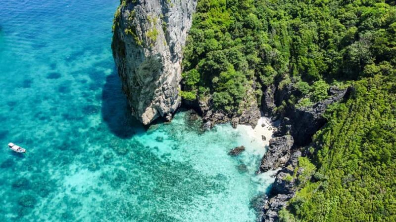 Phuket: Maya, Phi Phi, and Bamboo Island with Buffet Lunch - Monkey Beach: Wildlife Encounters