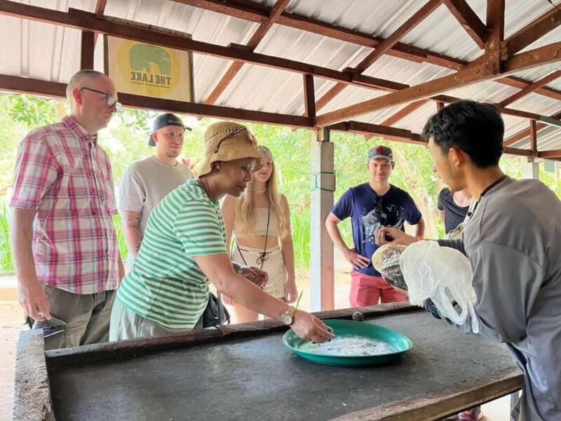 Phuket: Nature walk & Herb Ethical Wellness Elephant Tour - Key Points