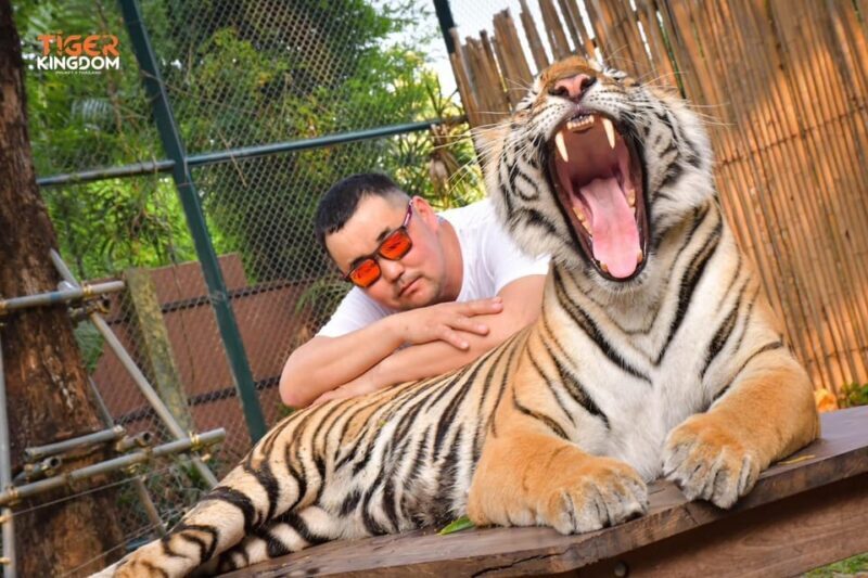 Phuket One Day Trip - FAQ