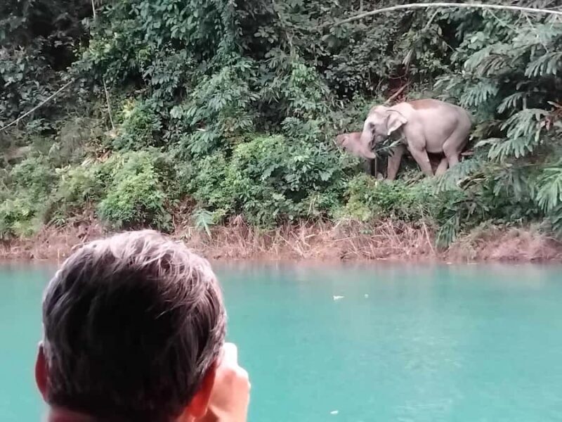 Phuket or Anywhere: 2-Days Cheow Lan Lake Tour & Raft-Resort - Early Morning Birdwatching & Departure