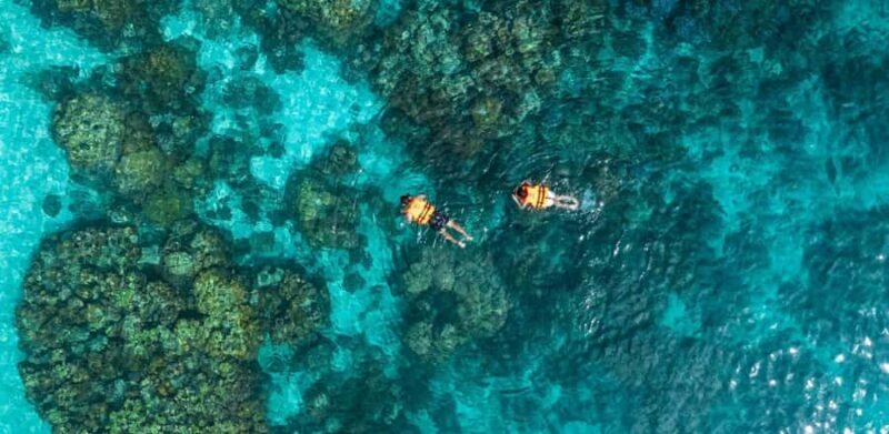 Phuket or Khao Lak: Surin Islands & Moken Village Day Trip - An In-Depth Look at the Tour Experience