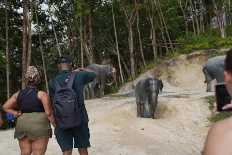 Phuket: Patong Elephant Sanctuary Observe & Learn Experience - Key Points