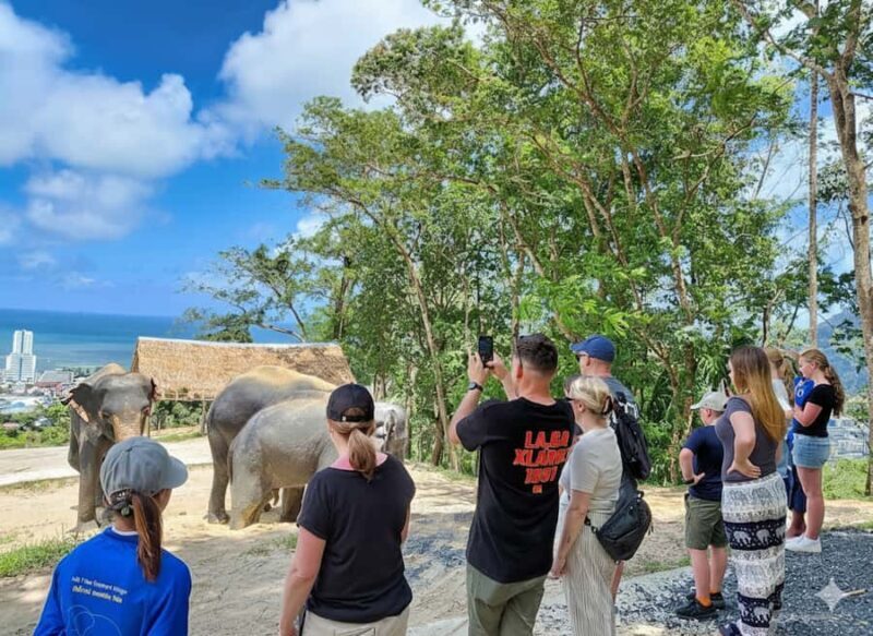 Phuket: Patong Ethical Elephant Sanctuary Tour with Transfer - Introduction: What’s This Tour About?
