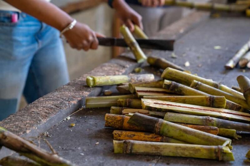 Phuket: Patong Ethical Elephant Sanctuary Tour with Transfer - Transportation and Group Dynamics