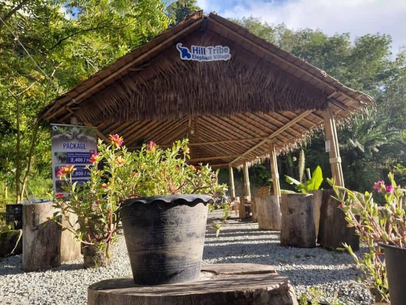 Phuket: Patong Ethical Elephant Sanctuary Tour with Transfer - The Bottom Line